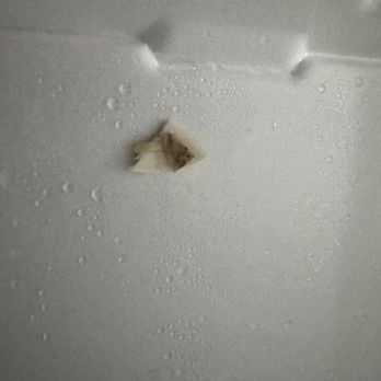 VOLARE ITALIAN RESTAURANT - Updated December 2024 - 64 Photos & 161 ...