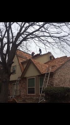 ABSOLUTE CONSTRUCTION - PABLO ORDAZ - Updated December 2025 - 31 Photos ...