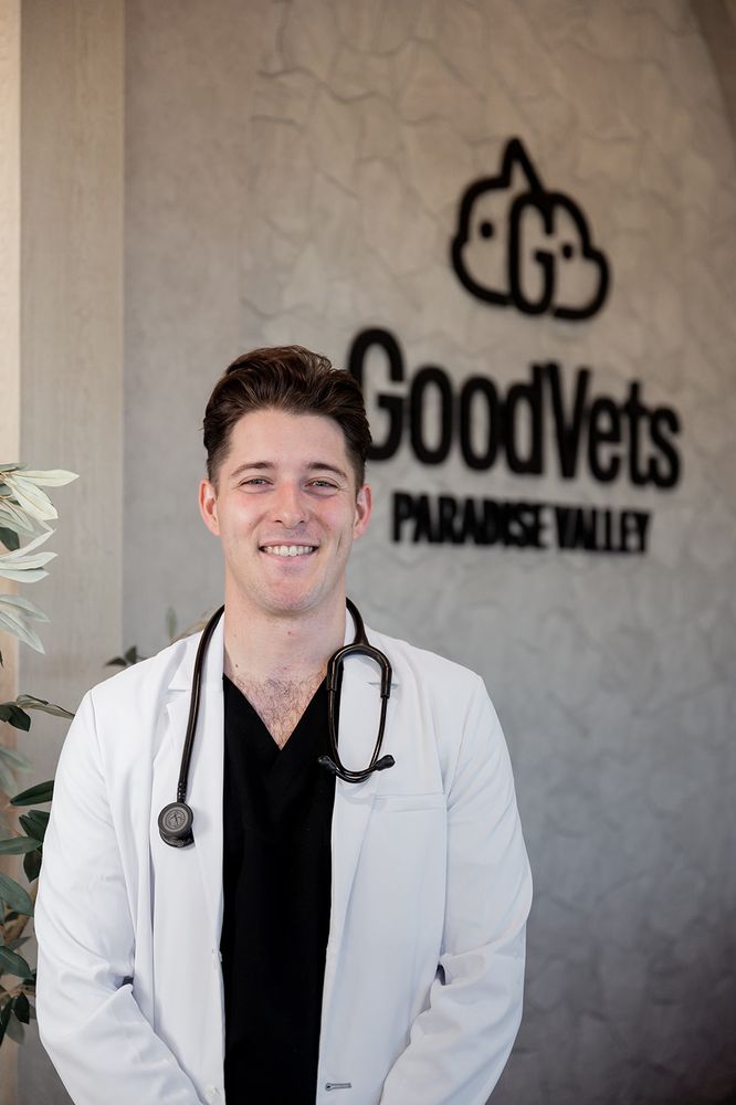 GOODVETS - Updated December 2024 - 49 Photos & 14 Reviews - 4740 East ...