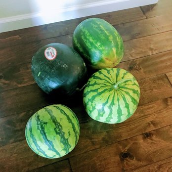 MUSSO FARMS - Updated August 2025 - 33 Photos & 20 Reviews - 35779 ...