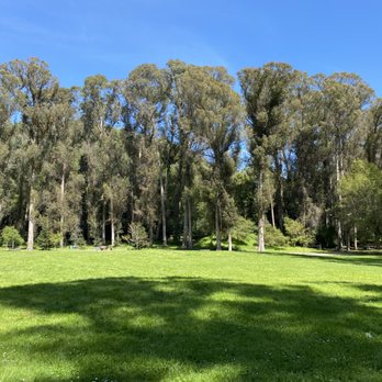 KENNEDY GROVE REGIONAL RECREATION AREA - Updated January 2026 - 181 ...