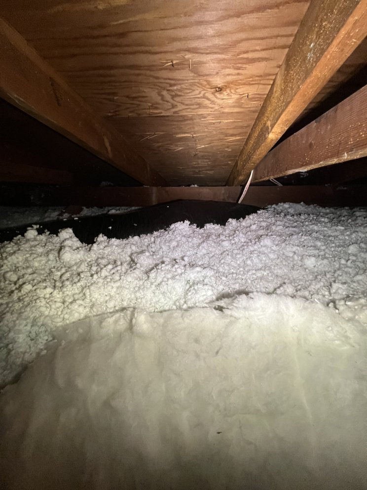 ATTIC PROFESSIONAL - 88 Photos & 24 Reviews - 8733 N Magnolia Ave ...