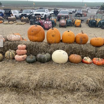 RODONI FARMS - Updated January 2026 - 151 Photos & 34 Reviews - 4444 ...