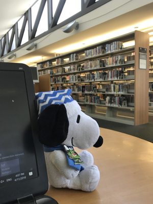 FOUNTAIN VALLEY LIBRARY - Updated December 2025 - 55 Photos & 50 ...