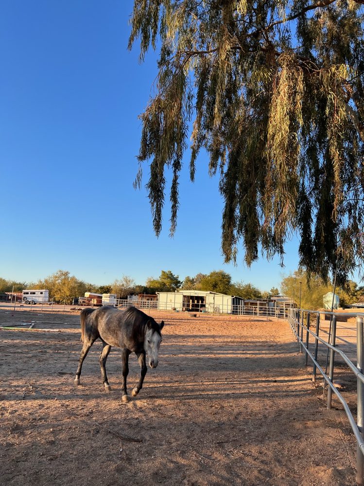 CACTUS RANCH - 9670 E Cactus Rd, Scottsdale, AZ - Yelp