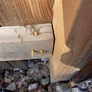 EQUUS MANAGEMENT GROUP - Updated August 2025 - Request Consultation ...