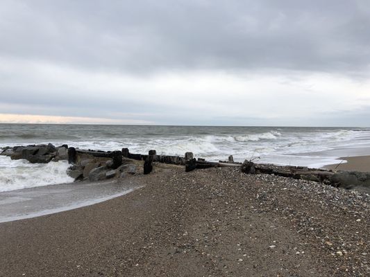 TOWN OF EDISTO BEACH - 47 Photos & 12 Reviews - Beaches - 2414 Murray ...