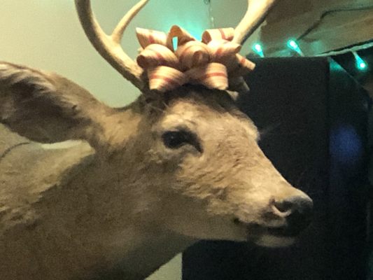 ALTMAR HOTEL - Updated December 2025 - 20 Photos & 29 Reviews - 6 Mill ...