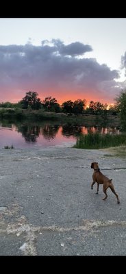 RIVER REFLECTIONS RV PARK & CAMPGROUND - Updated June 2025 - 81 Photos ...