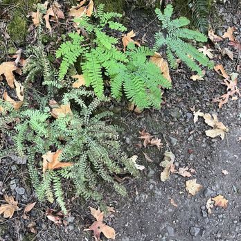 HIGH POINT TRAILHEAD - Updated September 2025 - 58 Photos - SE 79th St ...