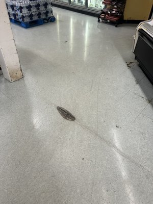 FARM FRESH - Updated April 2025 - 24 Photos & 90 Reviews - 2320 E Main ...