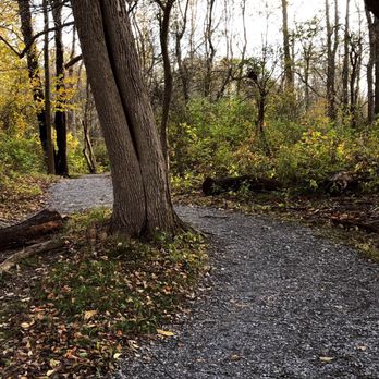 STIGLMEIER PARK - Updated June 2024 - 176 Photos & 33 Reviews - 500 ...