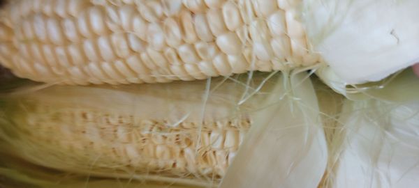 CONCORD PRODUCE MARKET - Updated December 2025 - 194 Photos & 195 ...