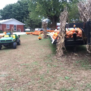 MINK AND WALTERS PUMPKIN PATCH - Updated January 2026 - 61 Photos ...
