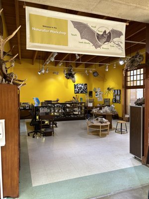 AUSTIN NATURE & SCIENCE CENTER - 168 Photos & 121 Reviews - 2389 ...