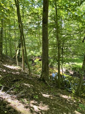 FRENEAU WOODS PARK - Updated August 2025 - 360 Monastery Ln, Matawan ...