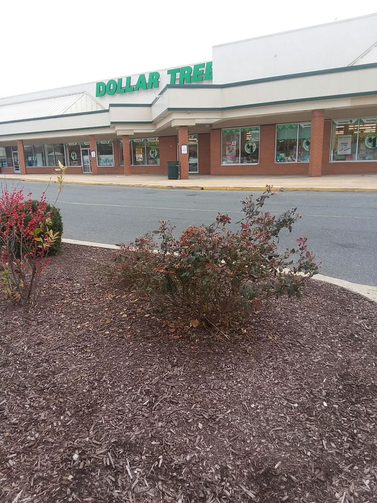 DOLLAR TREE - Updated April 2025 - 1716 W Newport Pike, Wilmington ...