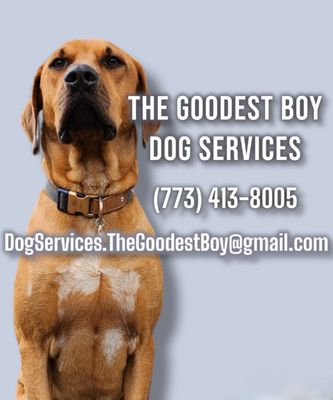 THE GOODEST BOY DOG SERVICES - Updated October 2024 - Arlington Heights ...