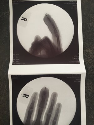 ORTHONOW DORAL - Updated September 2025 - 35 Photos & 43 Reviews - 3650 ...