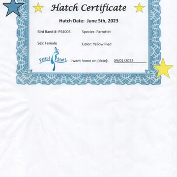 PARROT STARS - Updated September 2025 - 162 Photos & 39 Reviews - 115 N ...