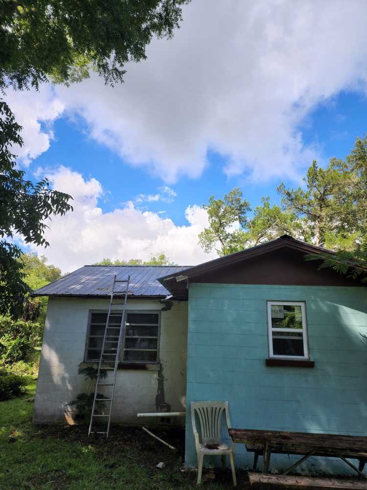 NORTHEAST FLORIDA TREE SURGEONS - Updated August 2025 - 12 Photos ...