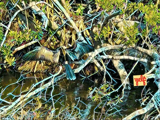 ST JOHNS COUNTY PUBLIC LIBRARY - PONTE VEDRA BEACH - Updated December ...