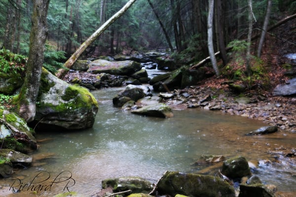 FREEDOM FALLS - Updated June 2026 - 26 Photos - Rockland Station Rd ...