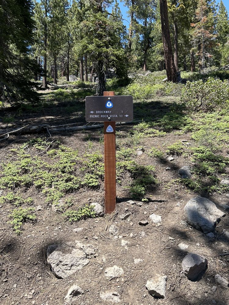 SPUR TRAIL VIEW - Updated April 2026 - Tahoe Rim Trl, Tahoe Vista ...