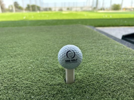 390 GOLF EXPERIENCE - Updated December 2025 - 15 Photos & 12 Reviews ...