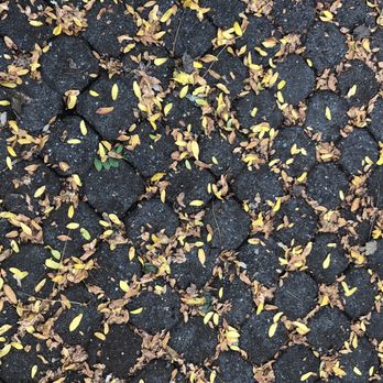 LUCKY LABRADOR PUBLIC HOUSE - Updated February 2025 - 60 Photos & 202 ...