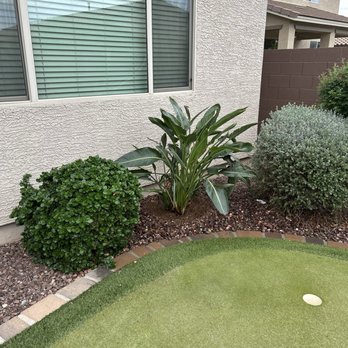 MOON VALLEY NURSERIES - Updated October 2025 - 57 Photos & 52 Reviews - 5545 W Hunt Hwy, Queen ...