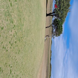 KAHUKU GOLF COURSE - 82 Photos & 33 Reviews - 56-501 Kamehameha Hwy ...