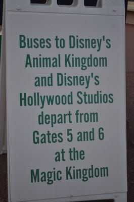 MAGIC KINGDOM BUS STATION - Updated October 2025 - 20 Photos & 20 ...