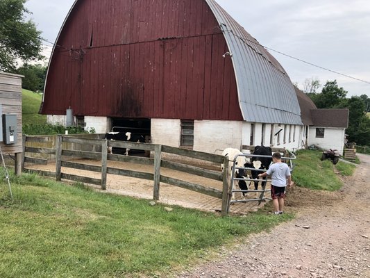 DIEHL HOMESTEAD FARM - Updated May 2026 - 93 Diehl Rd, Callicoon, New ...