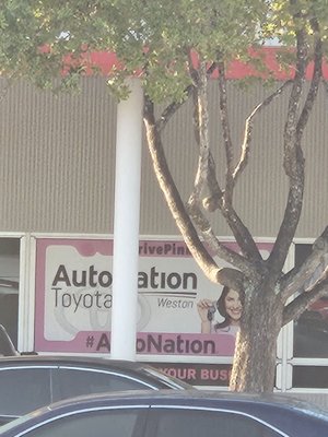 AUTONATION TOYOTA WESTON - Updated October 2025 - 99 Photos & 304 ...