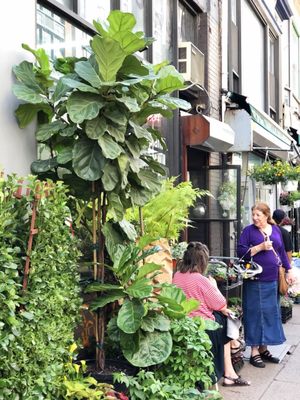 NOBLE PLANTS - 44 Photos & 87 Reviews - Nurseries & Gardening - 106-A W ...