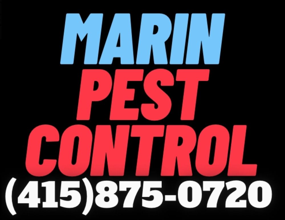 MARIN PEST CONTROL - Updated October 2025 - 17 Photos & 44 Reviews ...