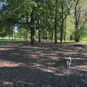 KICKAPOO STATE PARK - Updated December 2025 - 33 Photos & 28 Reviews ...