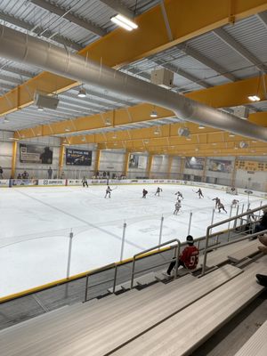 FORD ICE CENTER - BELLEVUE - Updated January 2026 - 13 Photos & 11 ...