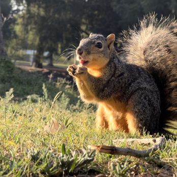 FAIRMOUNT PARK - Updated June 2024 - 540 Photos & 135 Reviews - 2241 ...