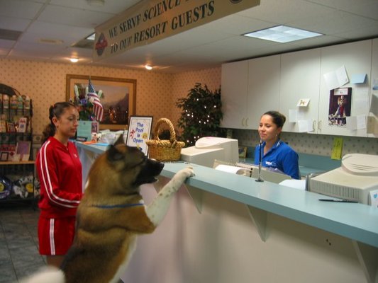 VCA KENNEL CLUB RESORT & SPA - Updated May 2024 - 53 Photos & 172 ...