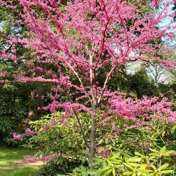 VAN VLECK HOUSE & GARDENS - Updated May 2025 - 333 Photos & 47 Reviews ...