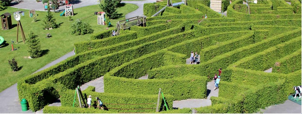 LABYRINTHE AVENTURE - 24 Photos - Route des Iles Vieilles 30, Evionnaz ...