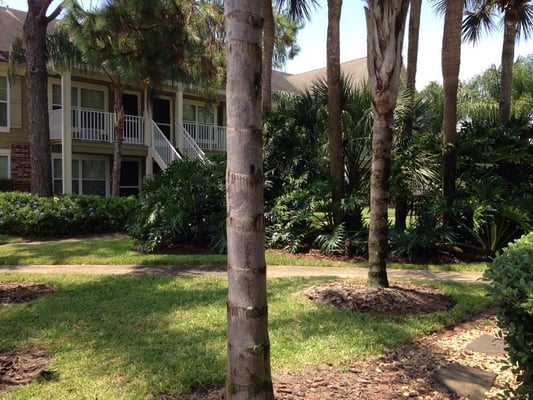 SIGNAL POINTE APTS - Updated December 2025 - 13 Reviews - 2500 Howell ...