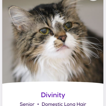 MAXFUND - Updated April 2025 - 105 Photos & 144 Reviews - 1005 Galapago ...