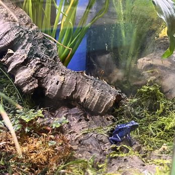 STRICTLY REEF - Updated December 2025 - 122 Photos & 68 Reviews - 907 W ...