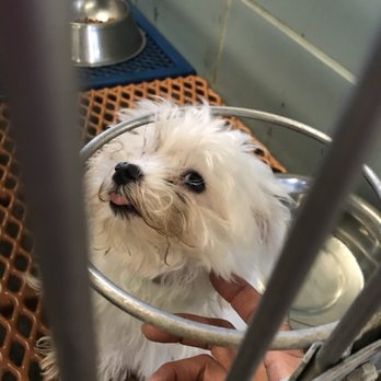 PINELLAS COUNTY ANIMAL SERVICES - Updated January 2026 - 13 Photos & 20 Reviews - 12450 Ulmerton ...