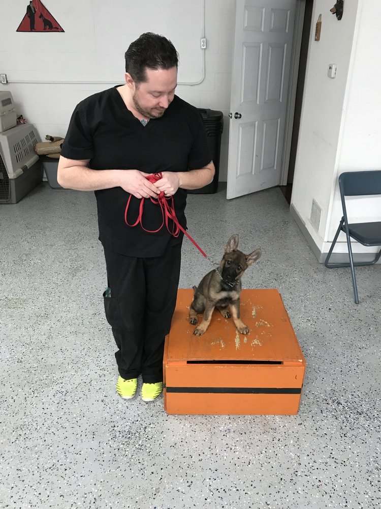 PRO CANINE - Updated January 2026 - 14 Photos - 515 N Brush College Rd ...