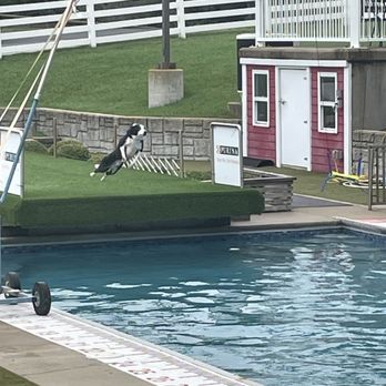 PURINA FARMS - TEMP. CLOSED - Updated December 2025 - 161 Photos & 56 ...