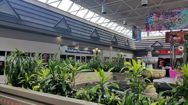 LIFEMARK PHYSIOTHERAPY - Updated September 2025 - 11 Photos - 131-2640 ...